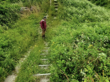 The future's bright for Fleam Dyke | Wildlife Trust for Beds Cambs ...