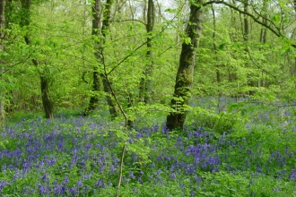 Cambridgeshire Nature Reserves | Wildlife Trust for Beds, Cambs & Northants