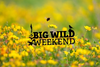 Trumpington Meadows | Wildlife Trust for Beds, Cambs & Northants