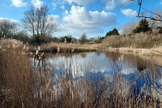 Great Fen Countryside Centre | Wildlife Trust for Beds, Cambs & Northants