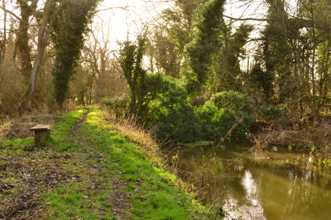 Fordham Woods | Wildlife Trust for Beds Cambs & Northants