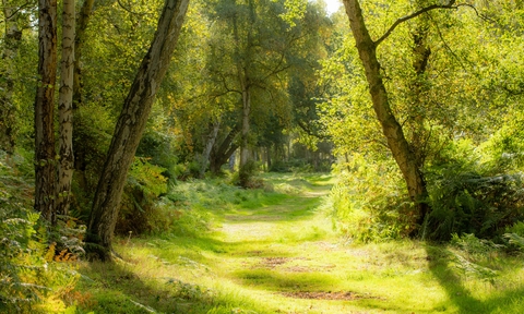 Nature Reserves | Wildlife Trust for Beds Cambs & Northants