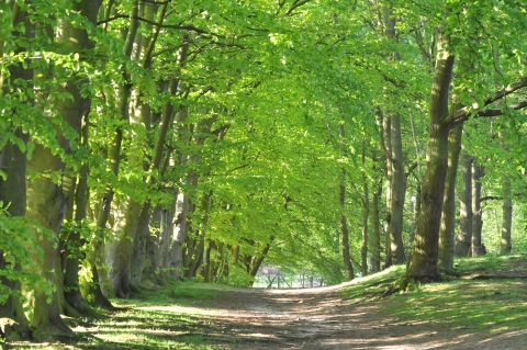 Visiting our Nature Reserves | Wildlife Trust for Beds Cambs & Northants