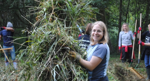 Conservation Work Parties - Cambridgeshire | Wildlife Trust for Beds ...