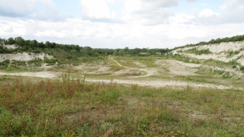 Cherry Hinton Chalk Pits | Wildlife Trust for Beds Cambs & Northants