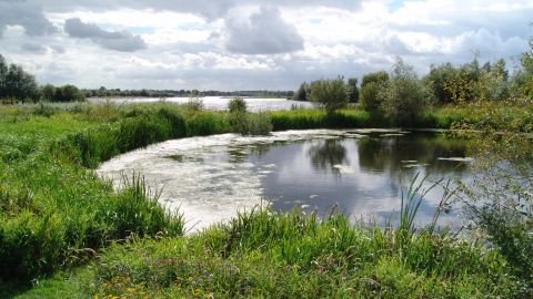 Summer Leys | Wildlife Trust for Beds Cambs & Northants