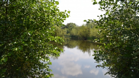 Felmersham Gravel Pits | Wildlife Trust for Beds Cambs & Northants