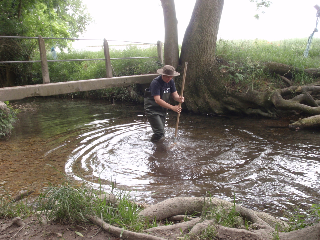 30 Days Wild - Day Twenty-four - River dipping | Wildlife Trust for ...