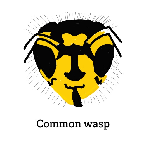 Lord of the Stings - Wasp ID Guide | Wildlife Trust for Beds Cambs ...