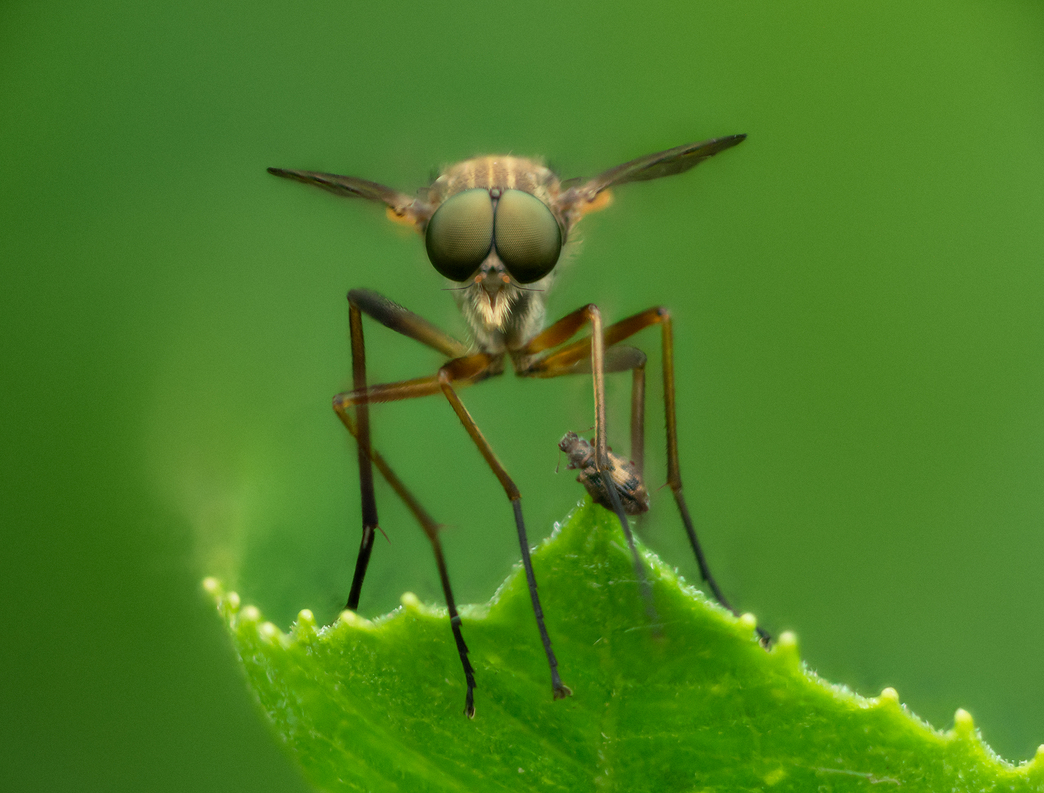 Wildlife Photographer Showcase: Kevin Lunham | Wildlife Trust for Beds ...