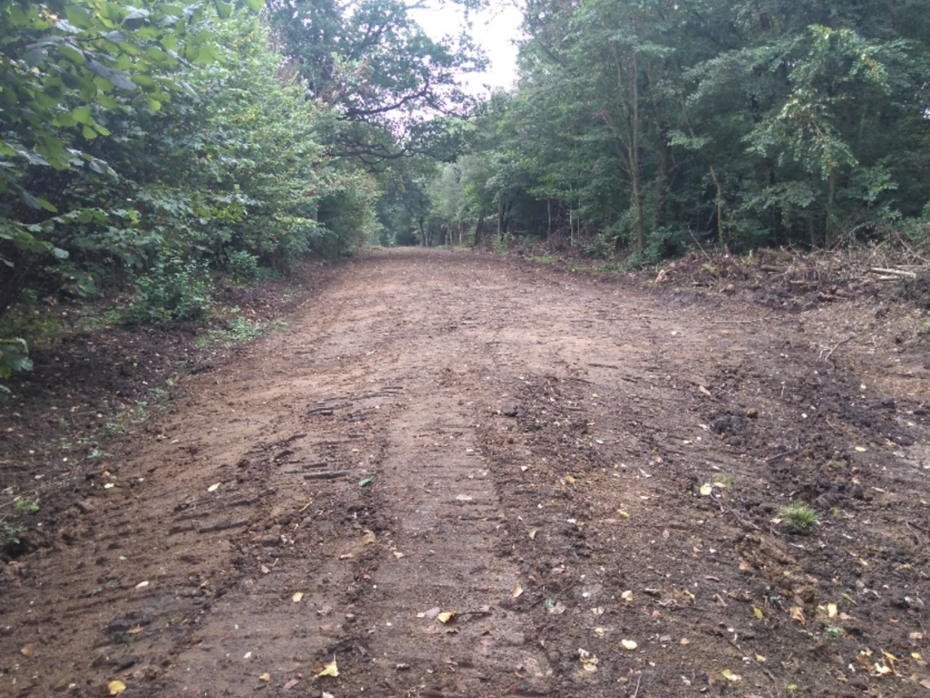 Reprofiling woodland rides | Wildlife Trust for Beds Cambs & Northants