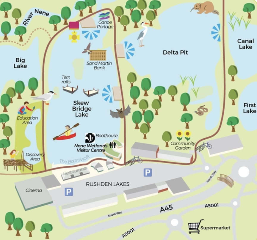 Preparation work for beaver reintroduction | Wildlife Trust for Beds ...