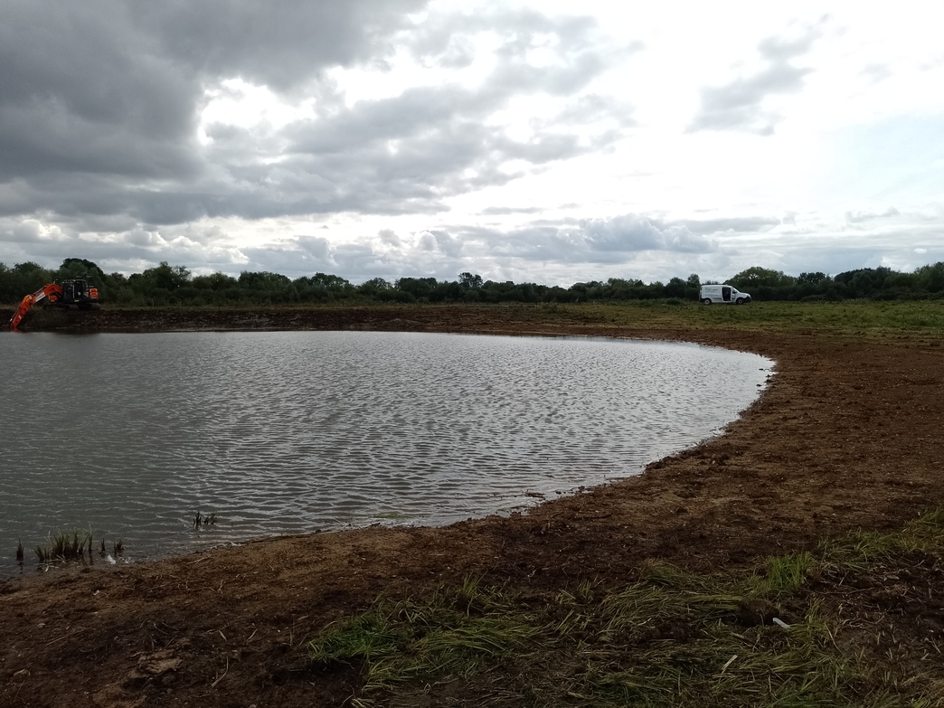 Reprofiling works at Summer Leys and Nene Wetland reserves | Wildlife ...
