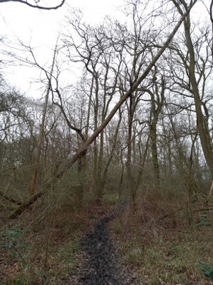Cambridgeshire Reserves Highlights | Wildlife Trust for Beds Cambs ...