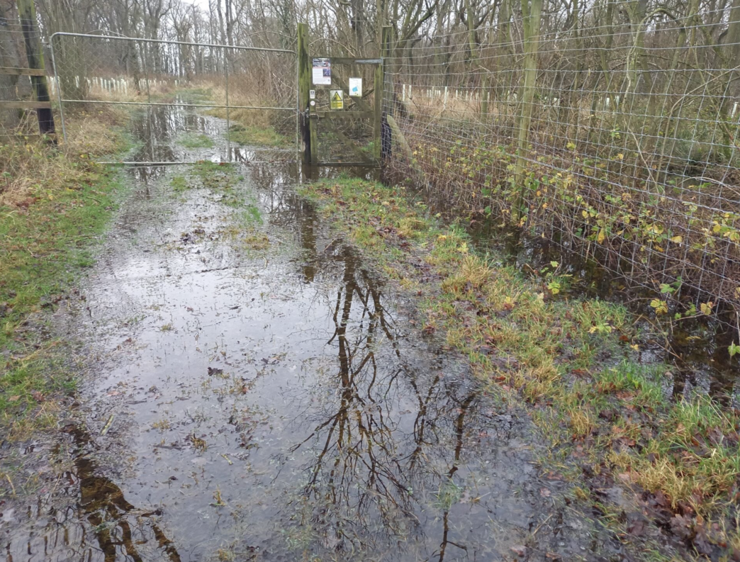 Waterlogged - the wettest winter on record | Wildlife Trust for Beds ...