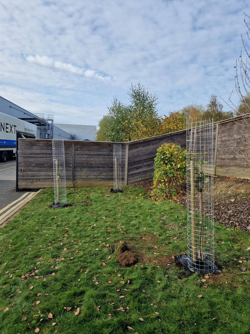 Tree Planting in the Nene Wetlands and Summer Leys! | Wildlife Trust ...