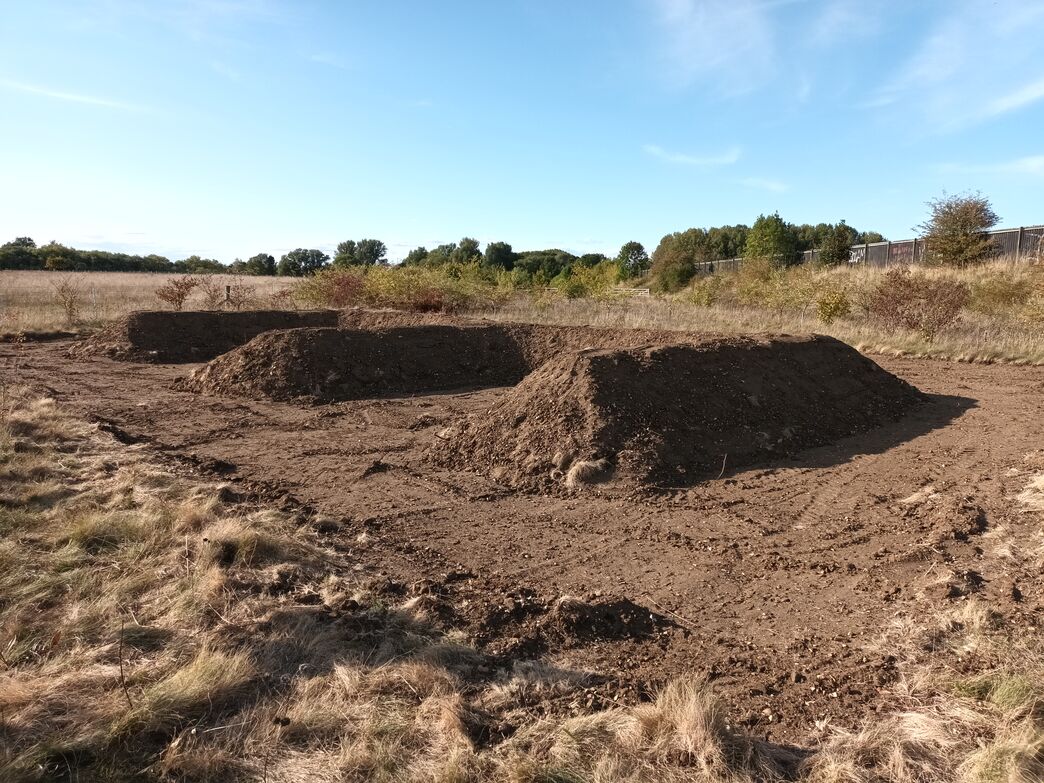 Banking on Butterflies – four years on! | Wildlife Trust for Beds Cambs ...