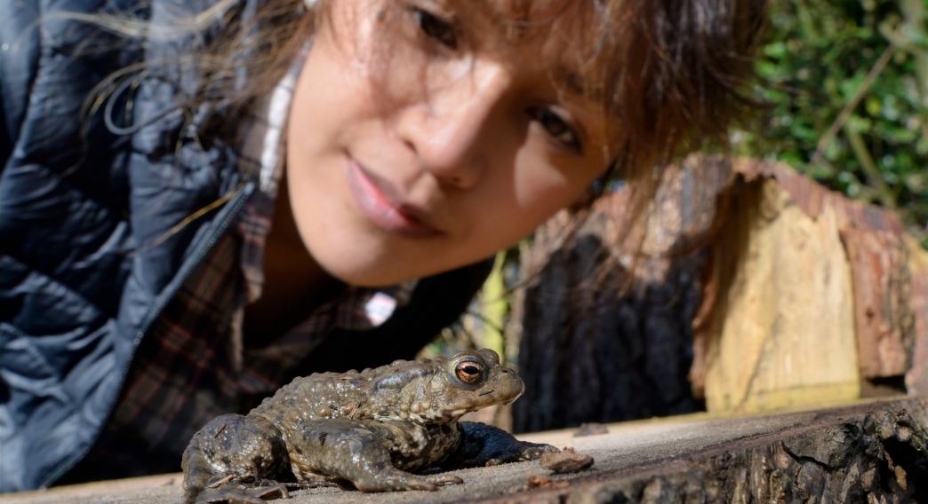 Why you should love toads (and other amphibians!) | Wildlife Trust for ...