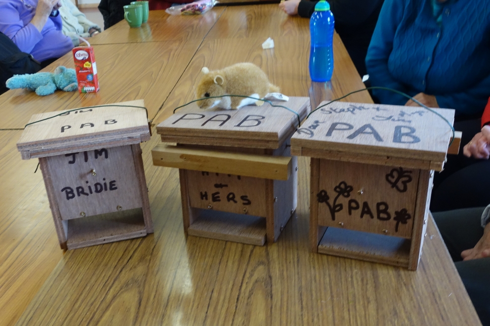 Dormouse Boxes with Peterborough Association for the Blind | Wildlife ...