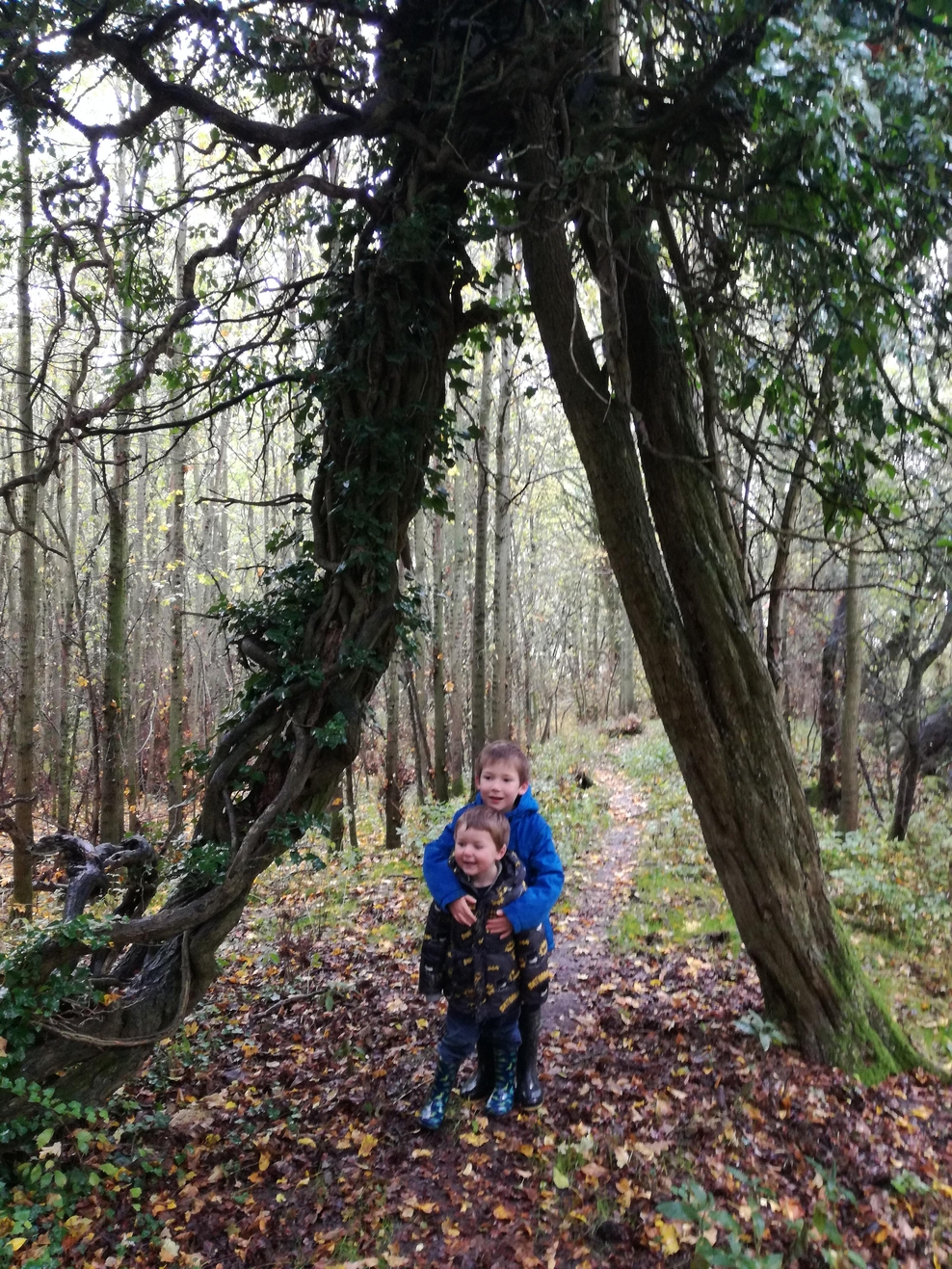 Big Wild Walkers | Wildlife Trust for Beds Cambs & Northants