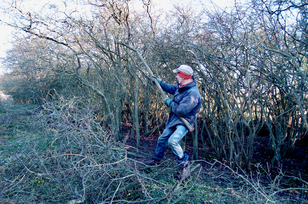 Glacier tribute for volunteer | Wildlife Trust for Beds Cambs & Northants