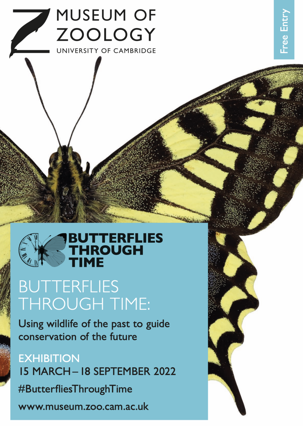 Butterflies Through Time exhibition | Wildlife Trust for Beds Cambs ...