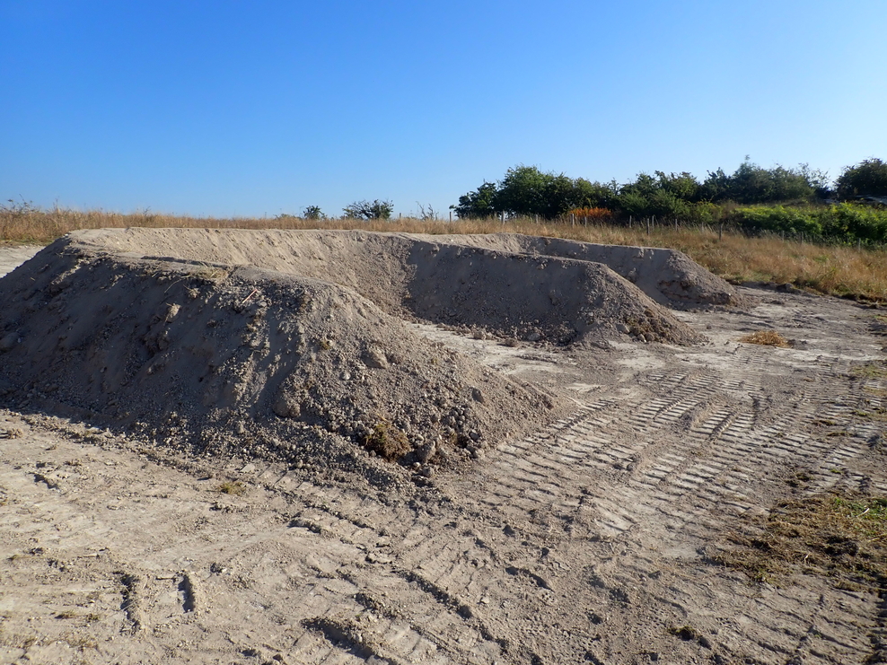 Banking on Butterflies – one year on | Wildlife Trust for Beds Cambs ...