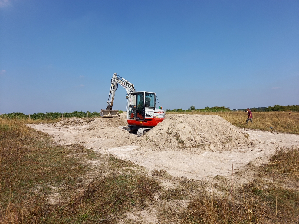 Banking on Butterflies project | Wildlife Trust for Beds Cambs & Northants