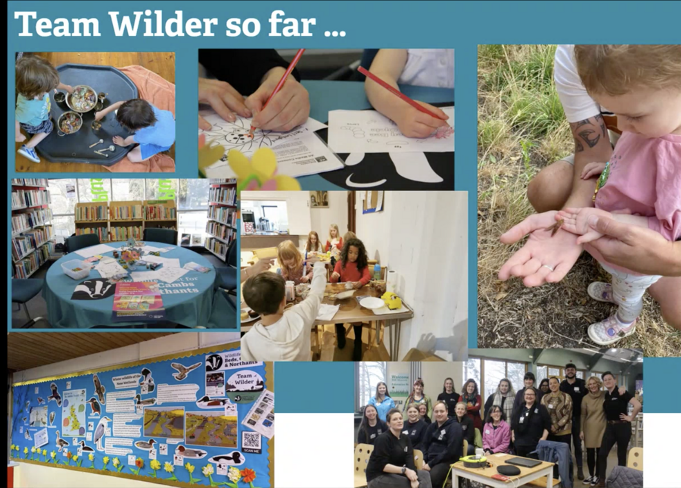 Say Hello to Team Wilder | Wildlife Trust for Beds Cambs & Northants