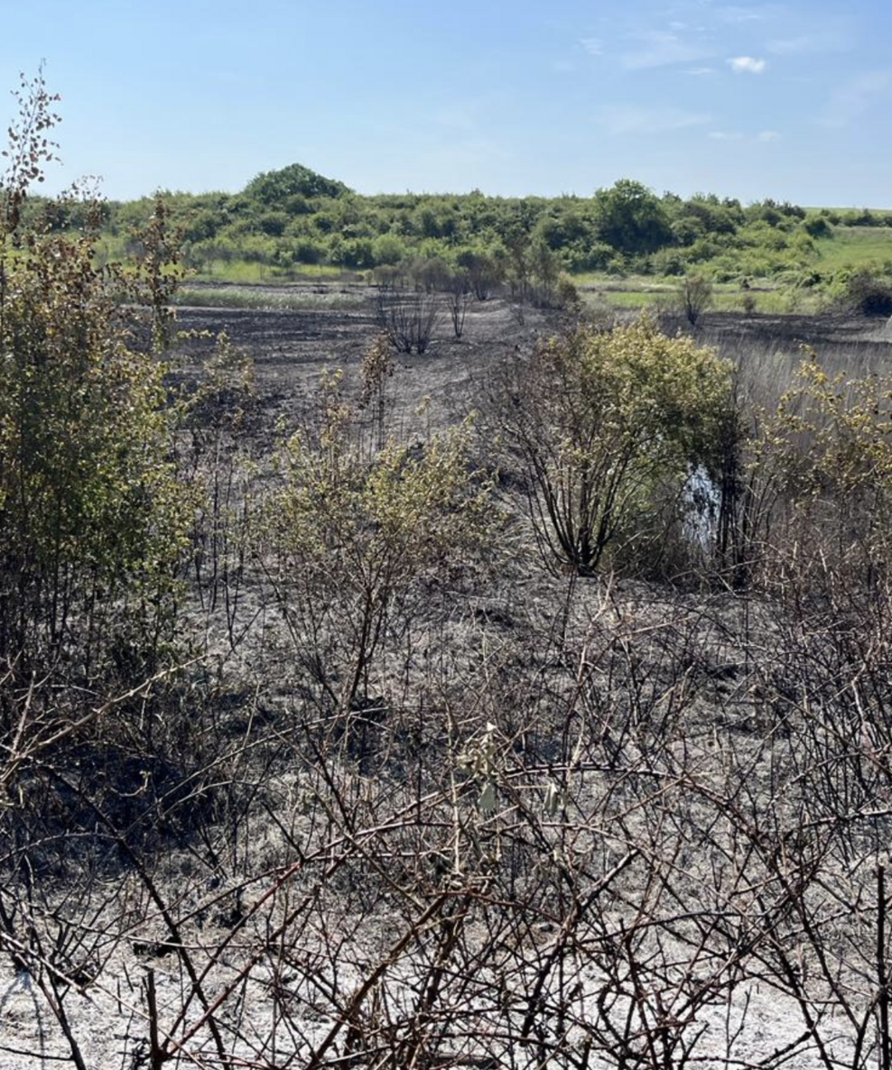 Fire at Dogsthorpe Star Pit | Wildlife Trust for Beds Cambs & Northants