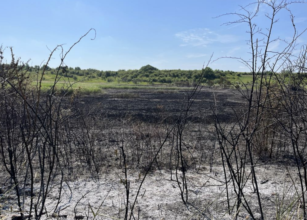 Fire at Dogsthorpe Star Pit | Wildlife Trust for Beds Cambs & Northants