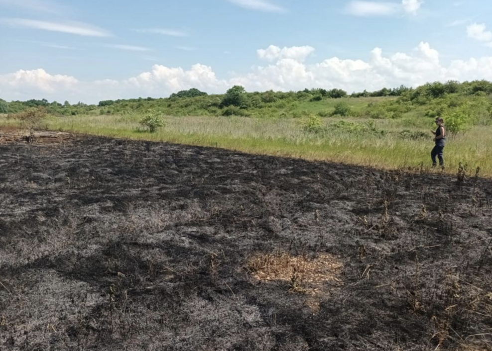 Fire at Dogsthorpe Star Pit | Wildlife Trust for Beds Cambs & Northants