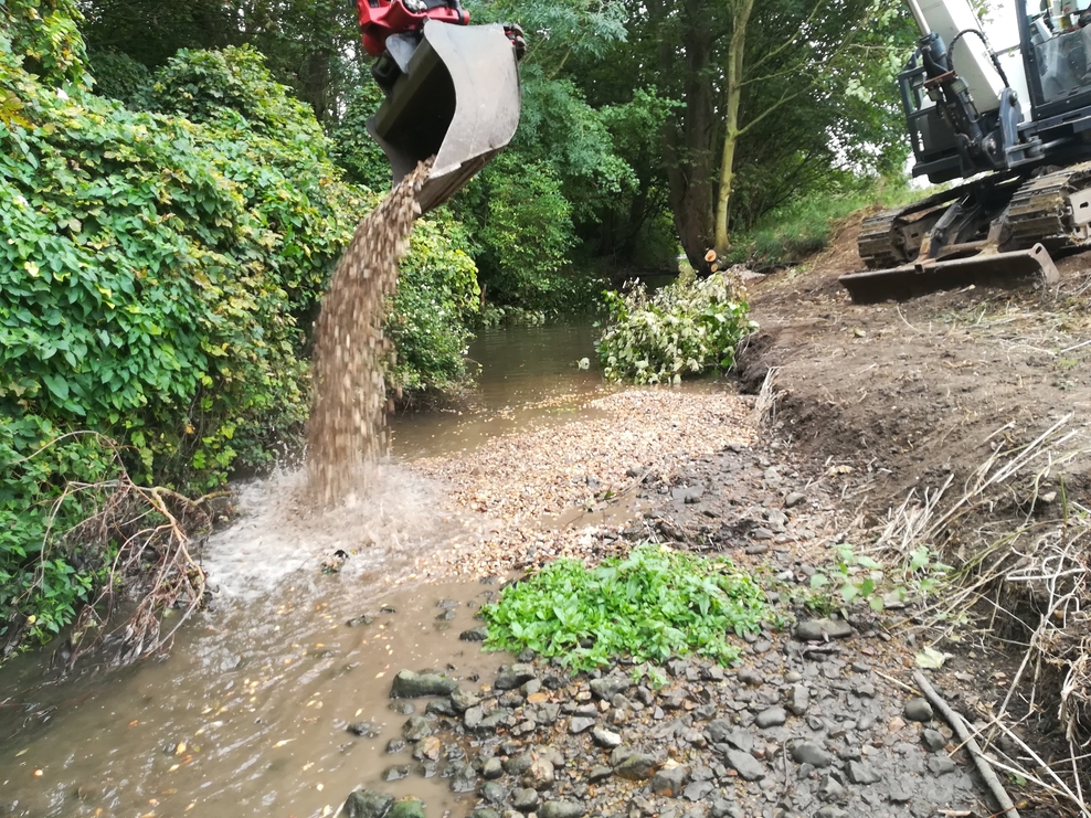 River Granta gets a wiggle on | Wildlife Trust for Beds, Cambs & Northants