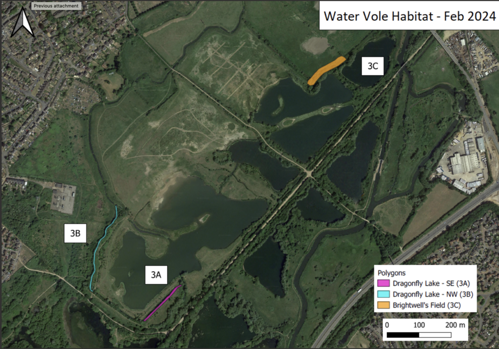 Nene Wetlands habitat and infrastructure improvements | Wildlife Trust ...