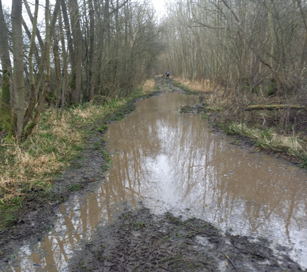 Waterlogged - the wettest winter on record | Wildlife Trust for Beds ...