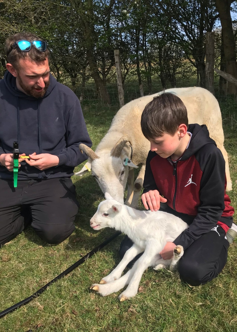Two hours in the life of a wannabe shepherd! | Wildlife Trust for Beds ...