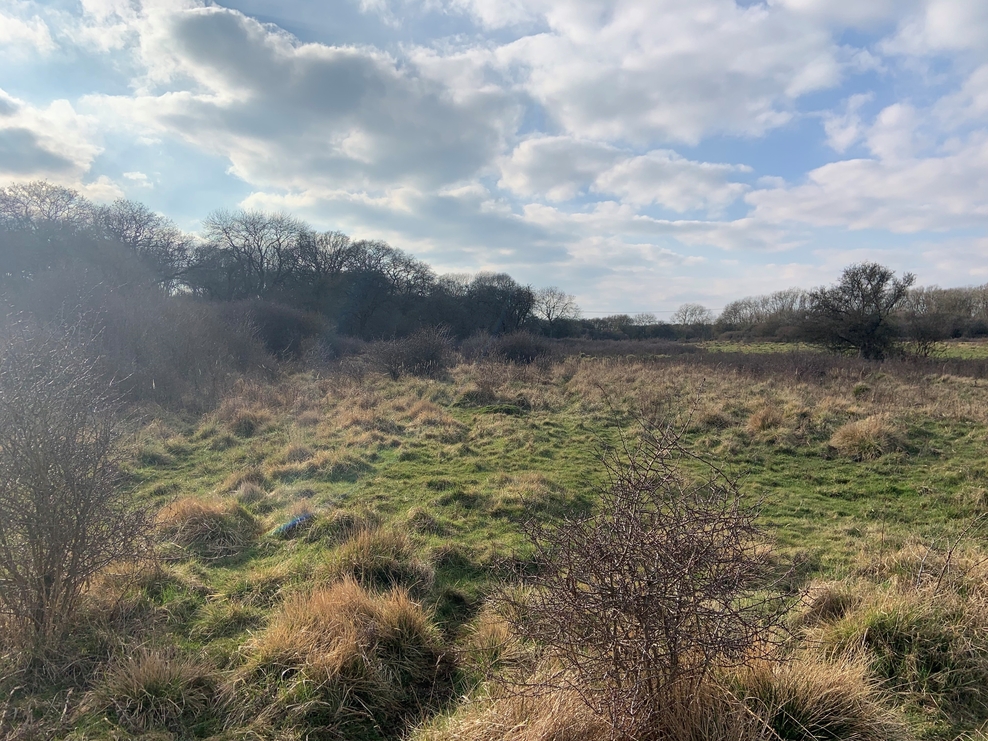 Saving Castor Hanglands National Nature Reserve | Wildlife Trust for ...