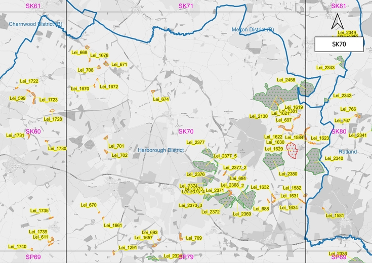 Leicestershire Ancient Woodland Inventory Surveys | Wildlife Trust for ...