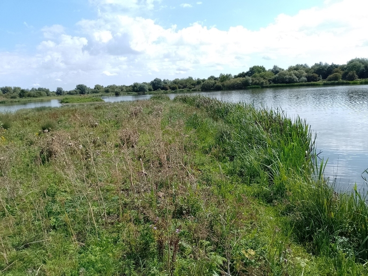 Reprofiling Habitats for Waders in the Nene Valley | Wildlife Trust for ...