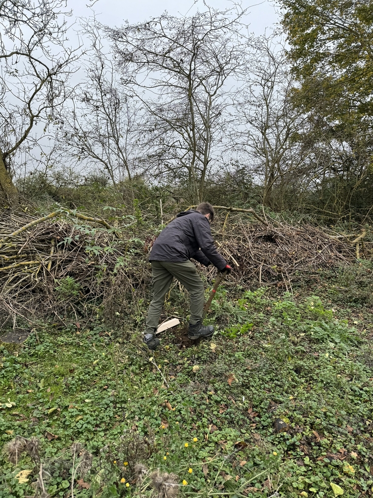 Tree Planting in the Nene Wetlands and Summer Leys! | Wildlife Trust ...