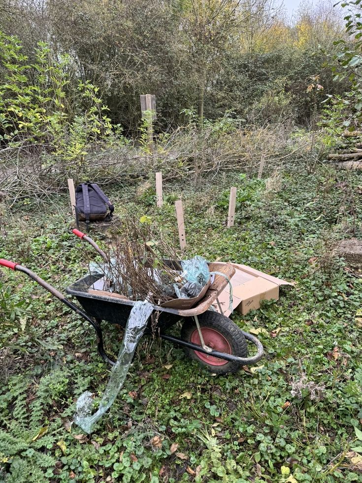 Tree Planting in the Nene Wetlands and Summer Leys! | Wildlife Trust ...