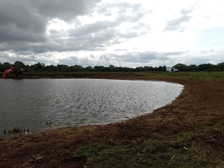 Reprofiling Habitats for Waders in the Nene Valley | Wildlife Trust for ...