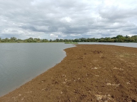 Reprofiling Habitats for Waders in the Nene Valley | Wildlife Trust for ...